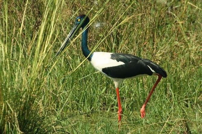 Bird Sanctuary, Bharatpur & Taj Mahal, Agra Day Tour from Delhi - An Introduction to the Tour Experience