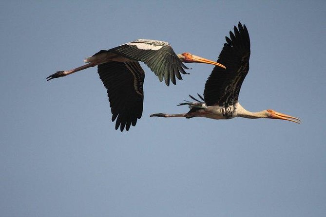 Bird Sanctuary, Bharatpur & Taj Mahal, Agra Day Tour from Delhi - Who Should Consider This Tour