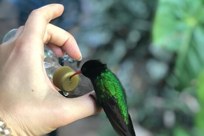 Bird Watcher's Paradise at Rockland Bird Sanctuary - An Introduction to Rockland Bird Sanctuary