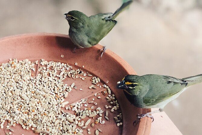 Bird Watcher's Paradise at Rockland Bird Sanctuary - The Experience in Context