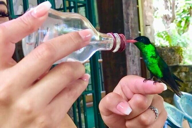 Bird Watcher's Paradise at Rockland Bird Sanctuary - Who Should Consider This Tour?