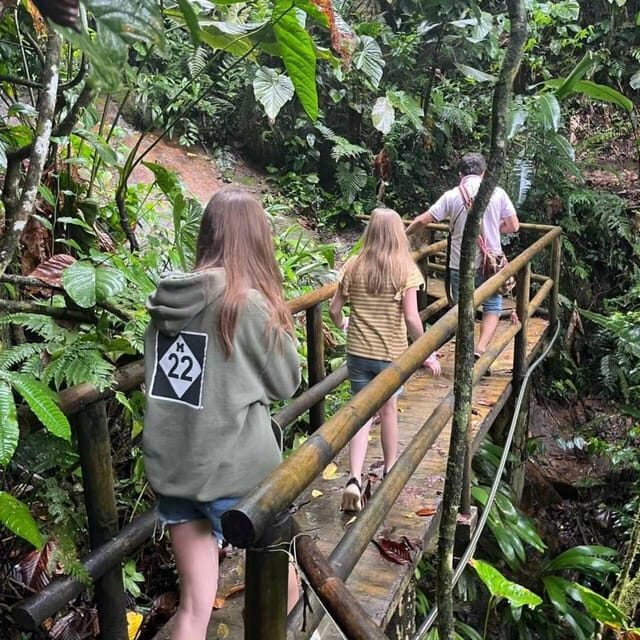 Bird watching ALL included - From Medellín - Who Should Consider This Tour?