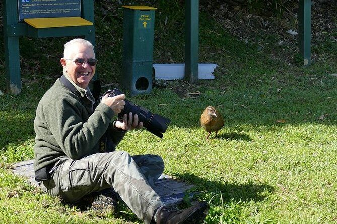 Bird Watching and Dolphin Eco-Tour from Picton - Key Points