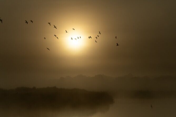Bird watching and photography around Bathurst, Australia - The Sum Up