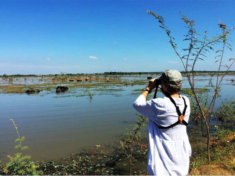 Bird Watching at Tonle Sap Forest and Lotus Farm Siem Reap - Bird Watching at Tonle Sap Forest and Lotus Farm Siem Reap: A Practical Guide for Nature Enthusiasts