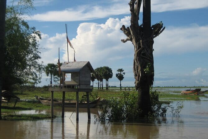 Bird Watching at Tonle Saps Inundated Forest - An In-Depth Look at the Experience