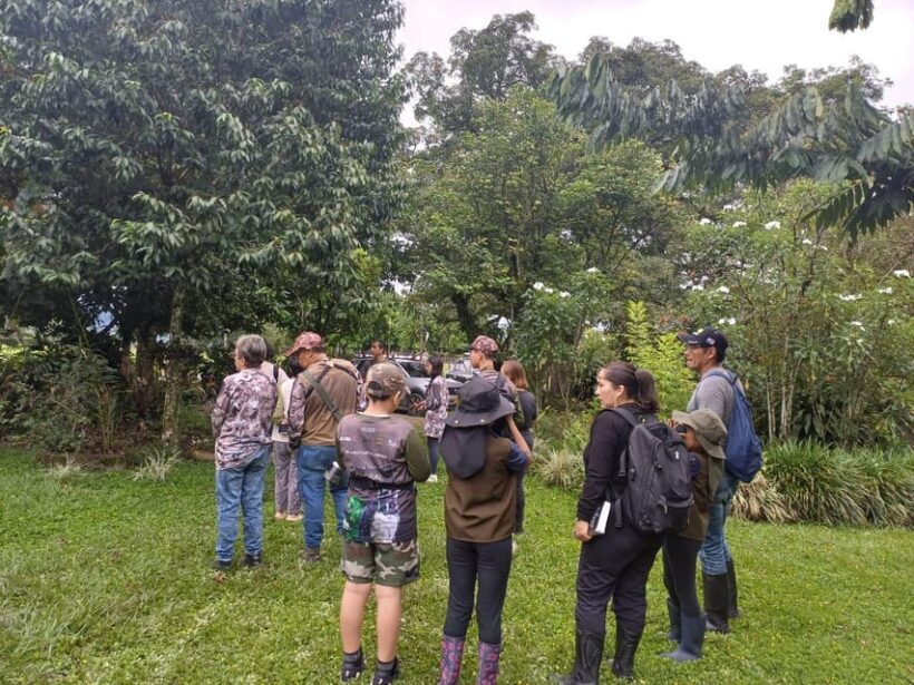 Bird Watching in Acacías Meta - The Experience and Authenticity