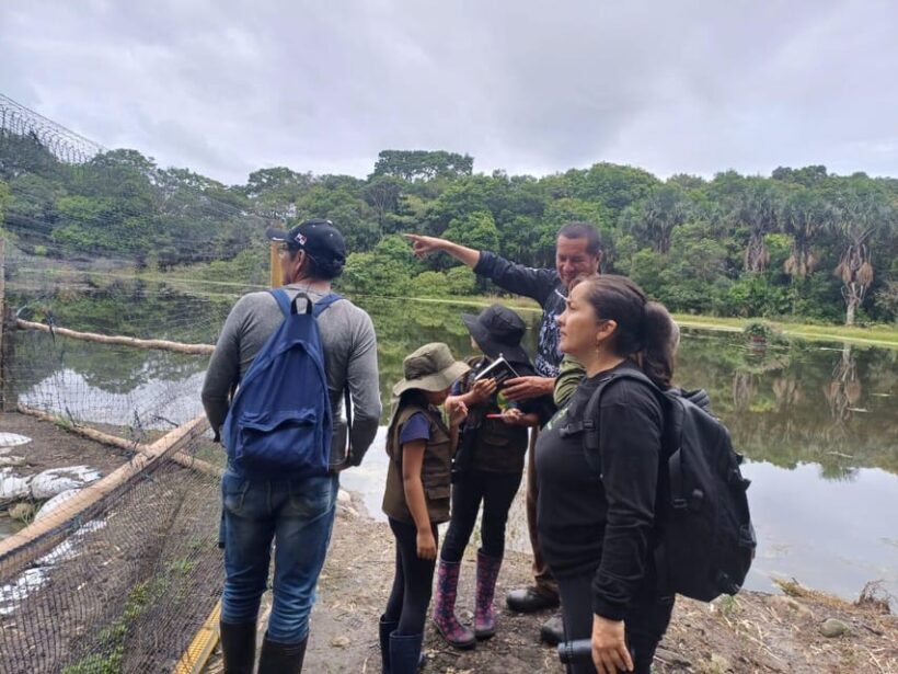 Bird Watching in Acacías Meta - Practical Considerations