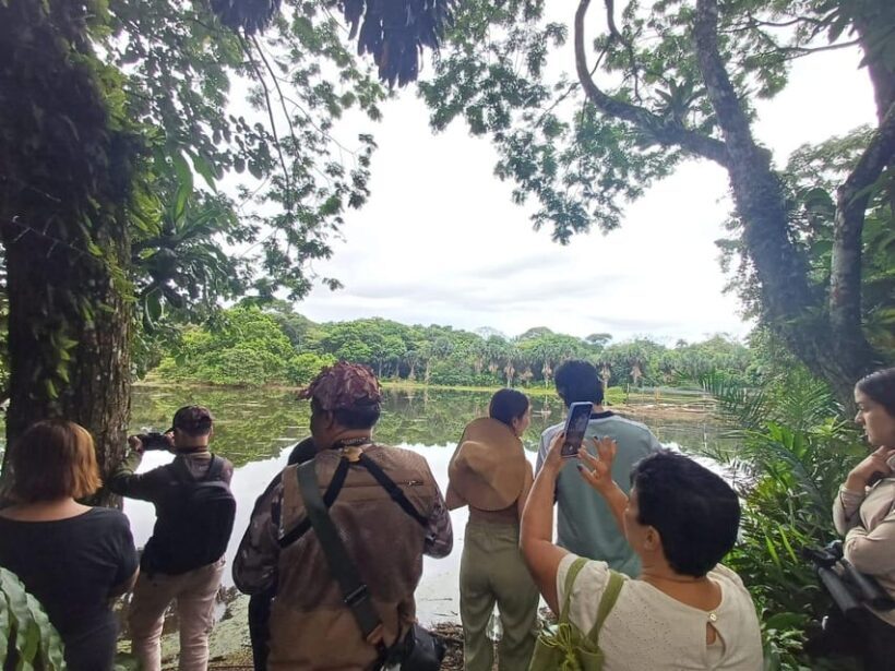 Bird Watching in Acacías Meta - FAQ