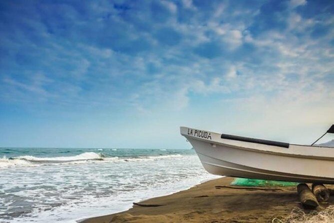 Bird watching in La Mancha - Unpacking the Experience: What to Expect