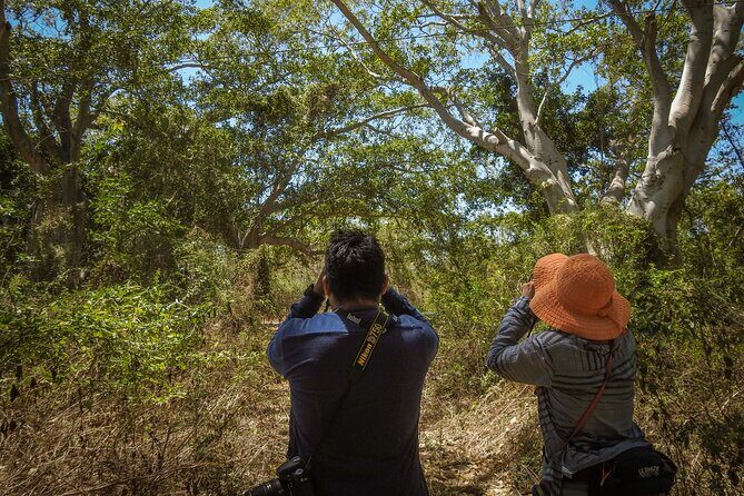 Bird Watching Mazatlán - Birding Tour - Authenticity and Local Insights