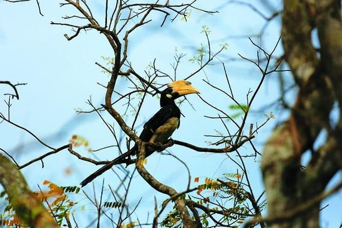 Bird Watching Tour Sri Lanka - 10 Days - Why This Tour Offers Good Value