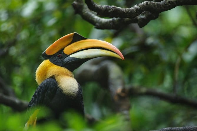 Bird Watching Tour Sri Lanka - 10 Days - FAQs
