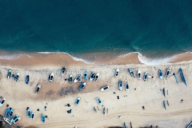 Bird Watching Tour Sri Lanka - 10 Days - Final Thoughts