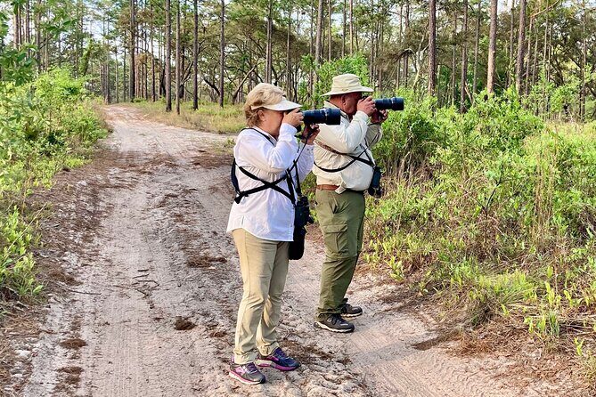 Birding and Wildlife Tour of Florida's Treasure Coast - FAQs