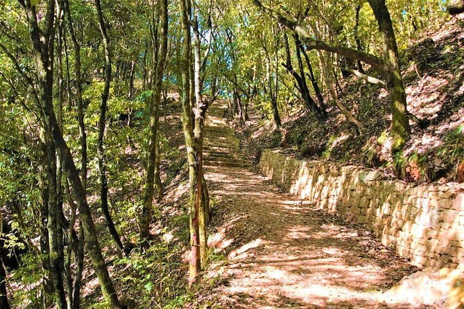 Birding Hike: Day Birdwatching in Kathmandu - FAQ