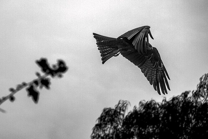 Birding trails in Delhi - What the Reviews Say: Authentic Perspectives