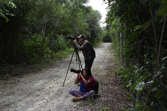 Birds of the Mayan World 2 / Route of the cenotes - Final Words