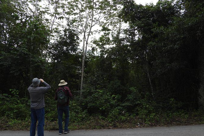 Birds of the Mayan World 3 - The Sum Up: Who Will Love This Tour?