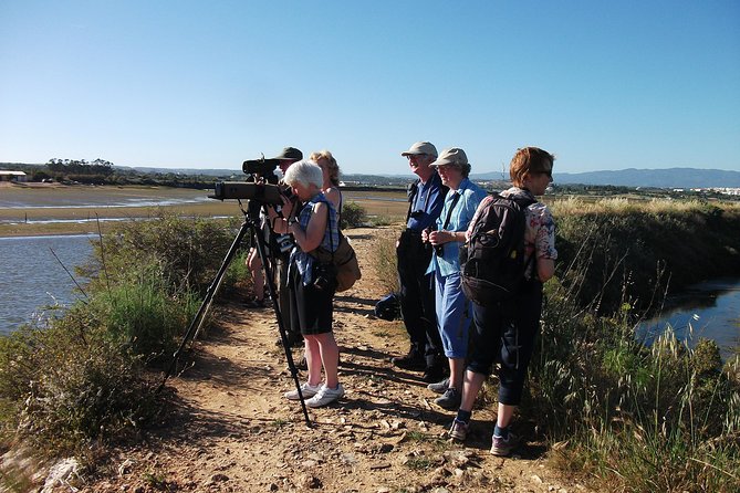Birdwatching at Ria de Alvor - Key Points