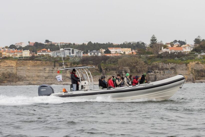Birdwatching Boat Tour in the Tagus Estuary - FAQ