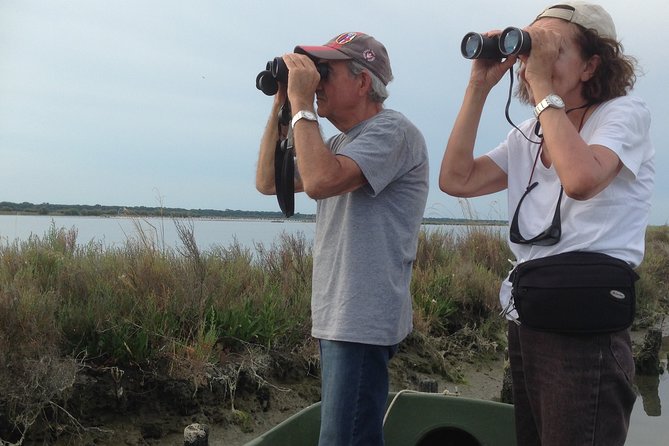Birdwatching by Boat in a Small Group in the Pialassa Baiona - Traveler Reviews and Ratings