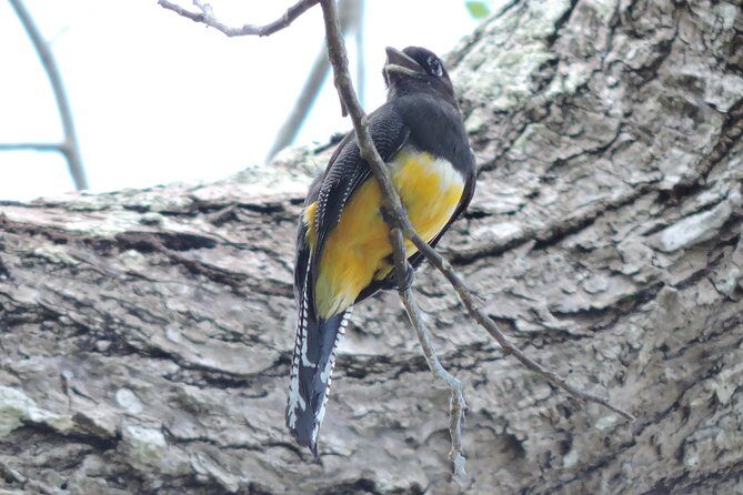 Birdwatching Cancun - The Sum Up: Who Will Love This Tour?