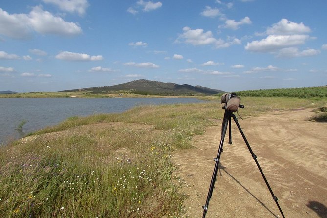 Birdwatching day around Castro Verde - Who Will Love This Tour?