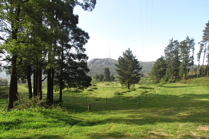 Birdwatching day in the Monchique hills - FAQs About the Birdwatching Day in the Monchique Hills