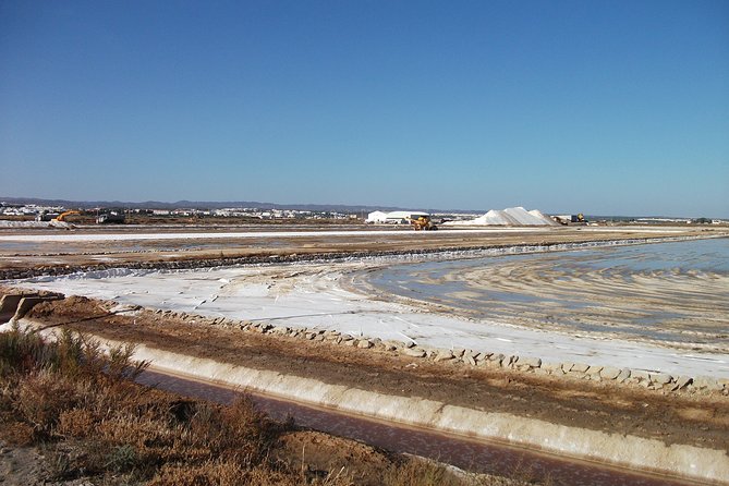 Birdwatching day in the Ria Formosa Natural Park - Value and Booking Considerations