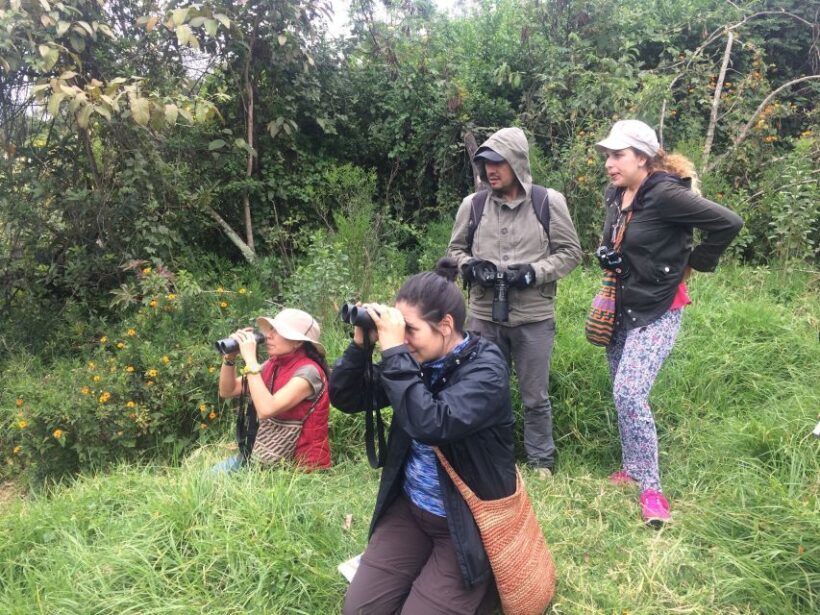 Birdwatching Day Tour at Chicaque Natural Park - Key Points