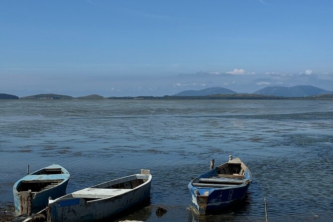 Birdwatching Experience in Narte Lagoon & Akerni Dunes - Authentic Experiences and Reviews