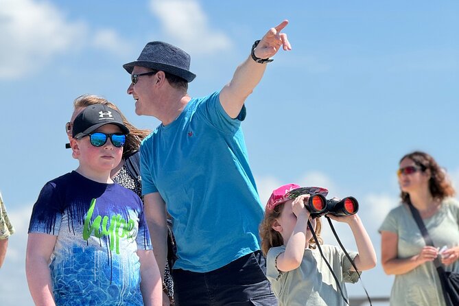 Birdwatching Experience in Narte Lagoon & Akerni Dunes - FAQ