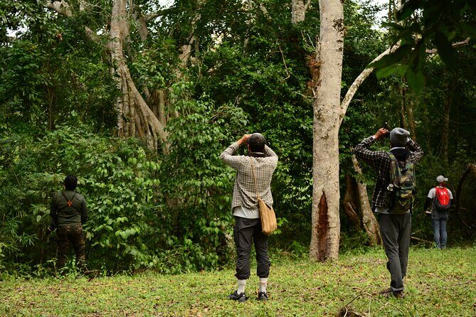 Birdwatching in Coba from Tulum - Shared Group Tour - Exploring the Itinerary in Detail