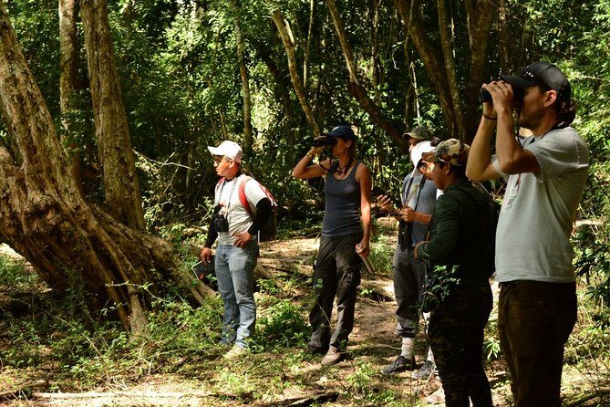 Birdwatching in Coba from Tulum - Shared Group Tour - The Sum Up: Who Will Benefit Most?