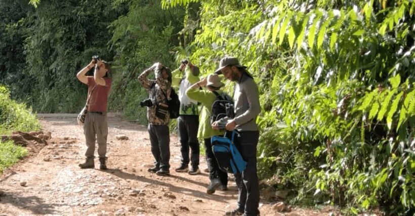 Birdwatching in Guatapé with Around 400 Bird Species - An In-Depth Look at the Birdwatching Tour