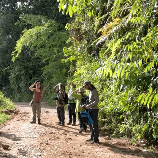 Birdwatching in Guatapé with Around 400 Bird Species - FAQ