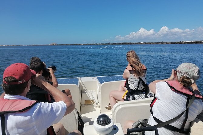 Birdwatching in Ria Formosa - Eco Boat Tour From Faro - Overview of Ria Formosa Natural Park