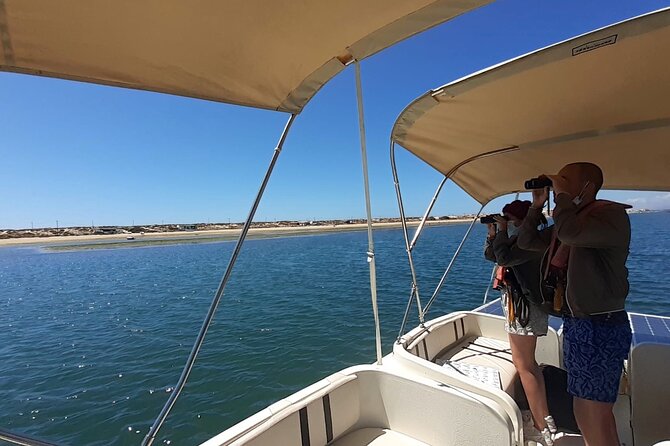 Birdwatching in Ria Formosa - Eco Boat Tour From Faro - Pricing and Inclusions