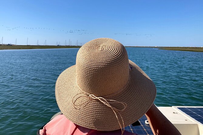 Birdwatching in Ria Formosa - Eco Boat Tour From Faro - Guest Reviews and Experiences