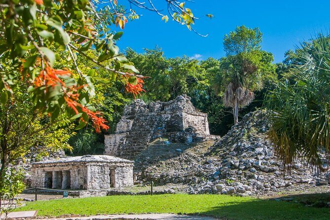 Birdwatching in Sian Ka´an Muyil from Tulum - Shared Group Tour - The Sum Up