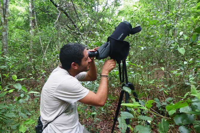 Birdwatching in Sian Ka´an Muyil from Tulum - Shared Group Tour - FAQ