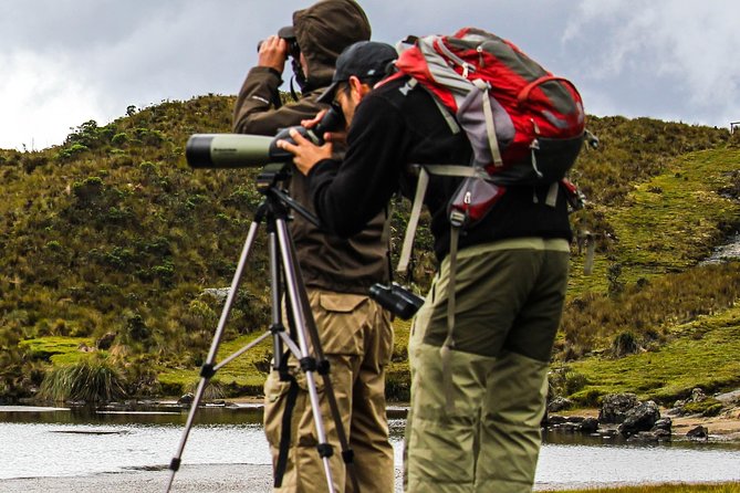 Birdwatching Tour in Cajas National Park From Cuenca - Reviews and Ratings