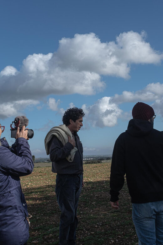 Birdwatching tour in Mértola and Castro Verde region - The Sum Up