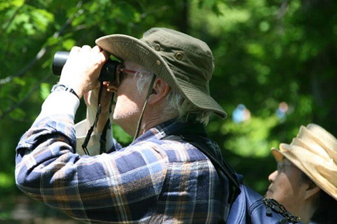 Birdwatching Walk in Thalangama Wetland from Colombo - Key Points