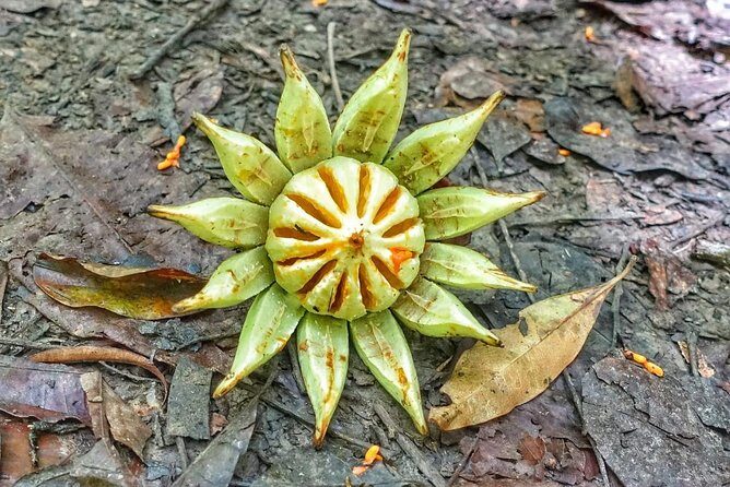 Birdwatching, Waterfall, Rainforest and Island Nature Tours - Frequently Asked Questions