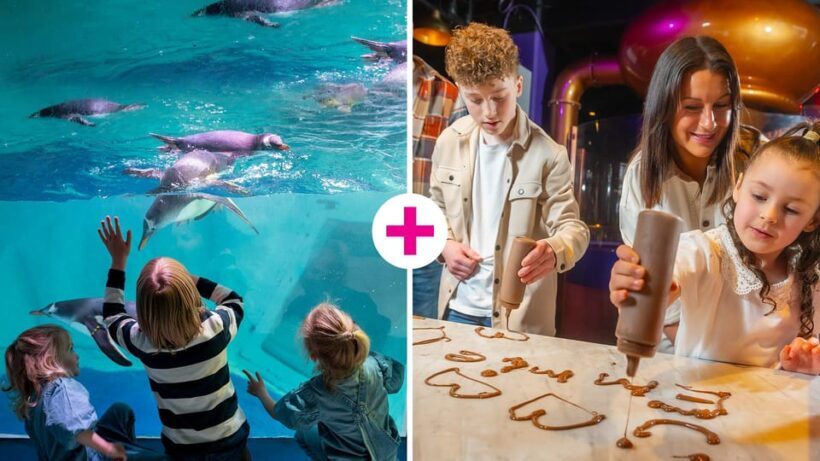 Birmingham: Cadbury World & SEA LIFE Birmingham - Exploring Cadbury World