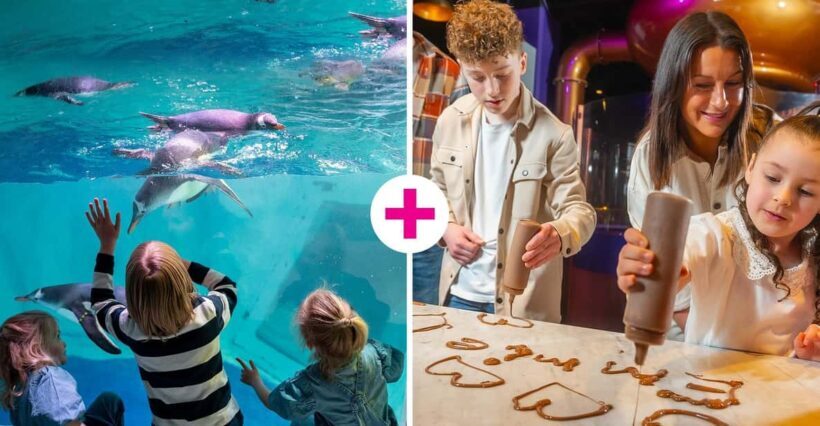 Birmingham: Cadbury World & SEA LIFE Birmingham - Authentic Experiences and Honest Insights
