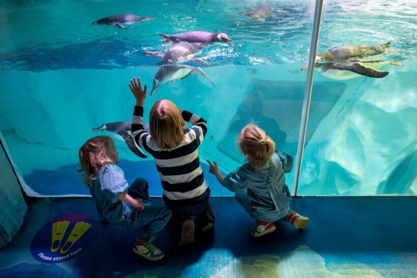 Birmingham: Cadbury World + SEA LIFE + LEGOLAND Discovery - Authentic Traveler Feedback