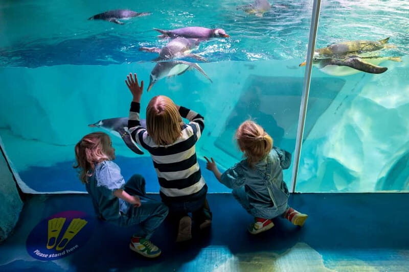 Birmingham: National Sea Life Centre Entrance Ticket - Summing Up: Is It Worth It?